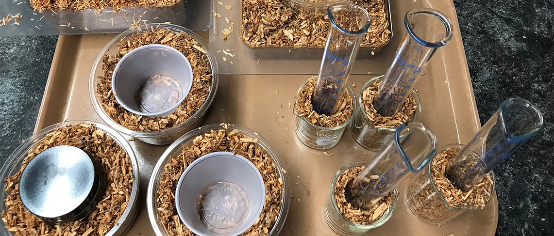 Designing With Emerging Materials - More | FIT Innovation